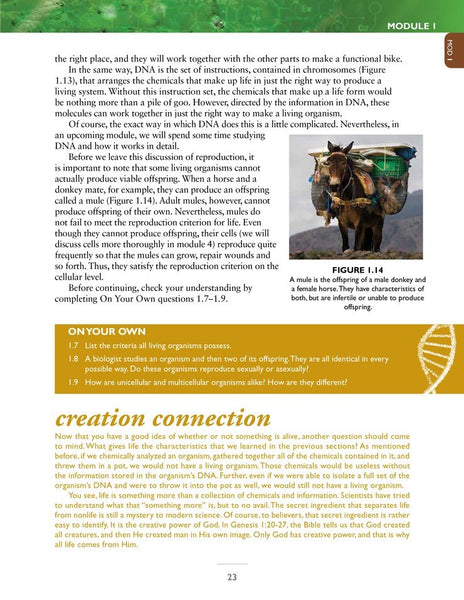 Apologia Exploring Creation with Biology Student Text, 3rd Edition | R ...