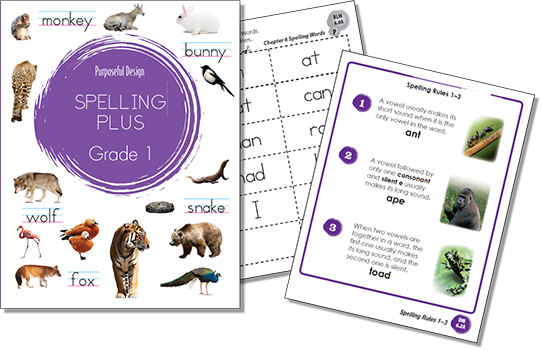 Spelling Plus Grade 1 Student Book (Purposeful Design) | R.O.C.K. Solid ...