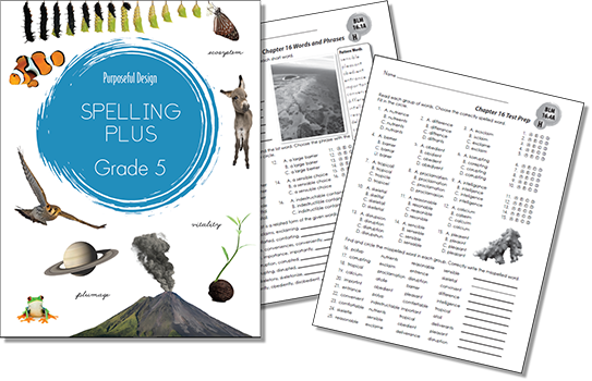 Spelling Plus Grade 5 Student Book (Purposeful Design) | R.O.C.K. Solid ...