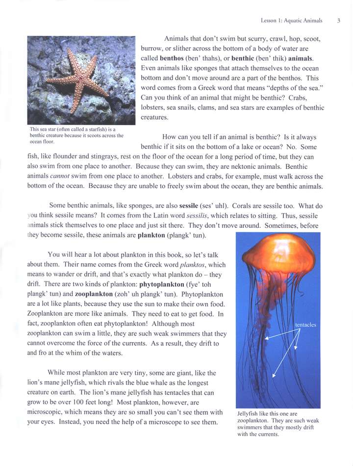 Exploring Creation with Zoology 2: Swimming Creatures of the Fifth Day ...