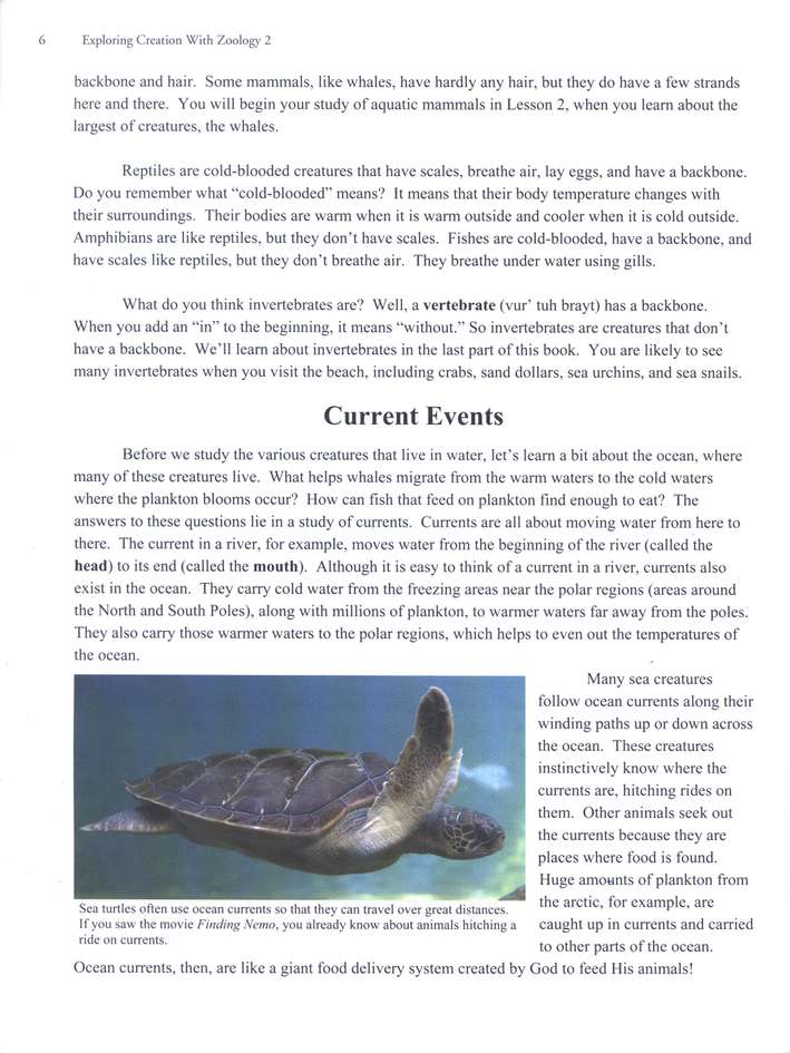 Exploring Creation with Zoology 2: Swimming Creatures of the Fifth Day ...
