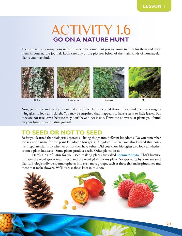 Exploring Creation with Botany Textbook, 2nd Edition | R.O.C.K. Solid ...