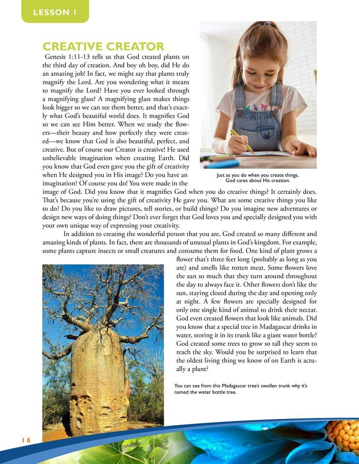 Exploring Creation with Botany Textbook, 2nd Edition | R.O.C.K. Solid ...