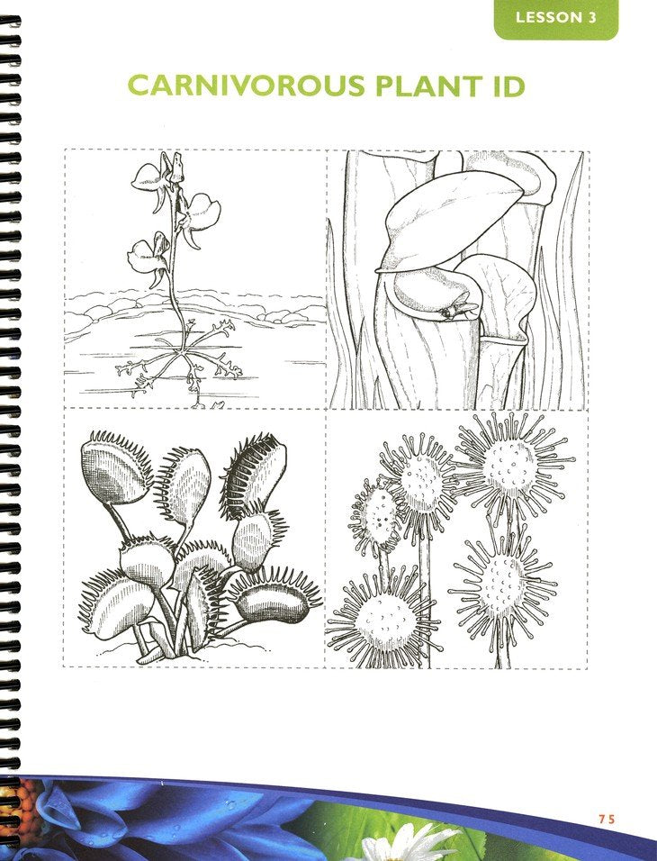 Exploring Creation with Botany Notebooking Journal, 2nd Edition | R.O.C ...