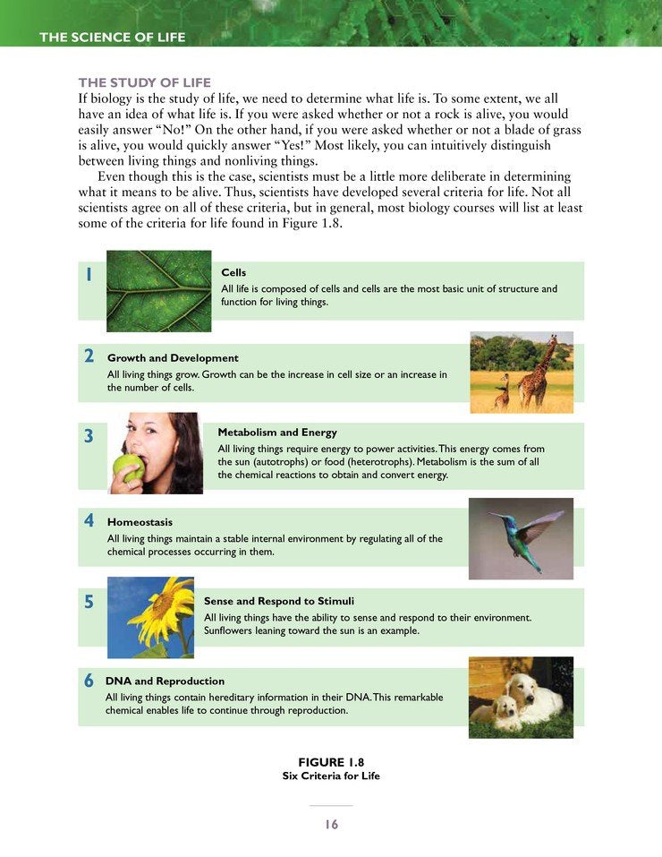 Apologia Exploring Creation with Biology Student Text, 3rd Edition | R ...