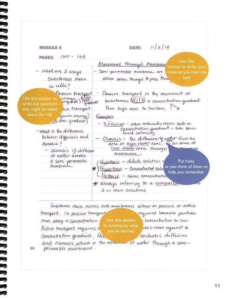 Apologia Exploring Creation with Biology Student Notebook, 3rd Edition ...