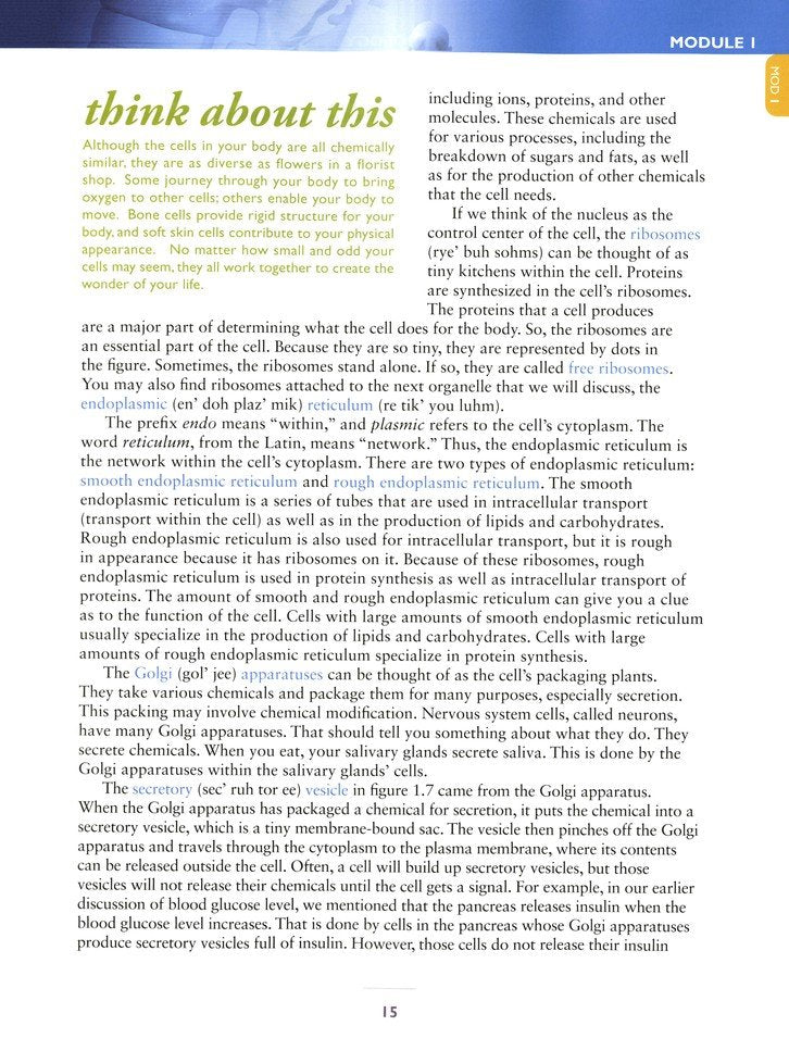 Apologia Exploring Creation with Advanced Biology: The Human Body ...