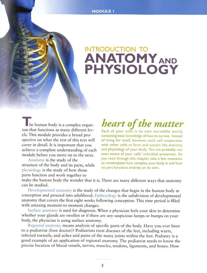 Apologia Exploring Creation with Advanced Biology: The Human Body ...