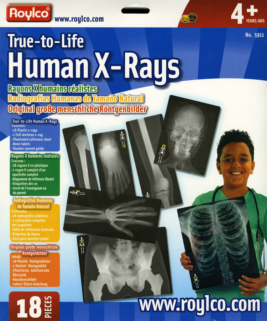 True to Life Human X-rays | R.O.C.K. Solid Home School Books