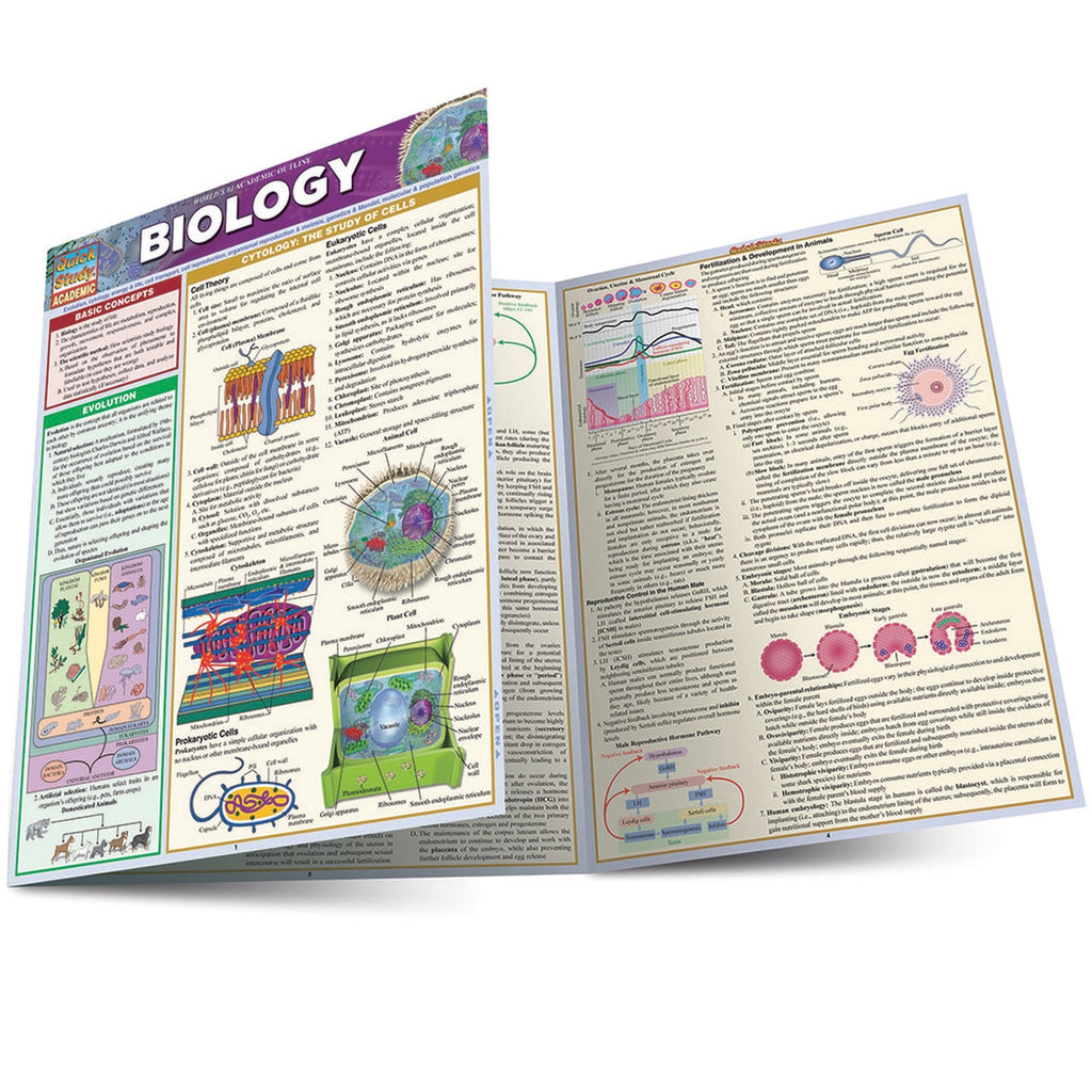 Quick Study Biology | R.O.C.K. Solid Home School Books