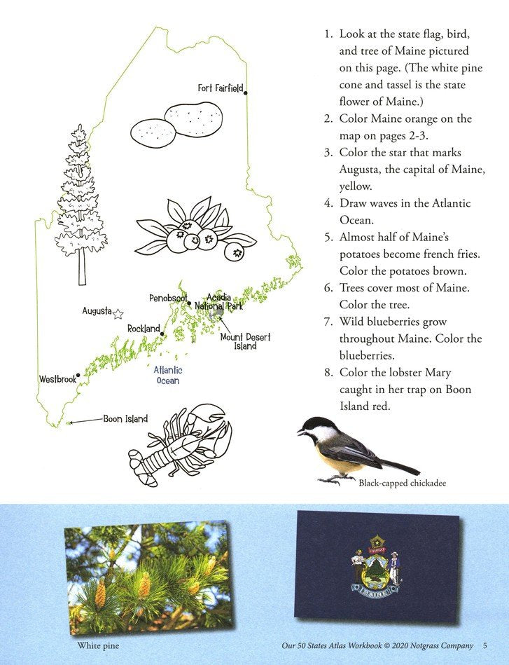 Our 50 States Atlas Workbook | R.O.C.K. Solid Home School Books