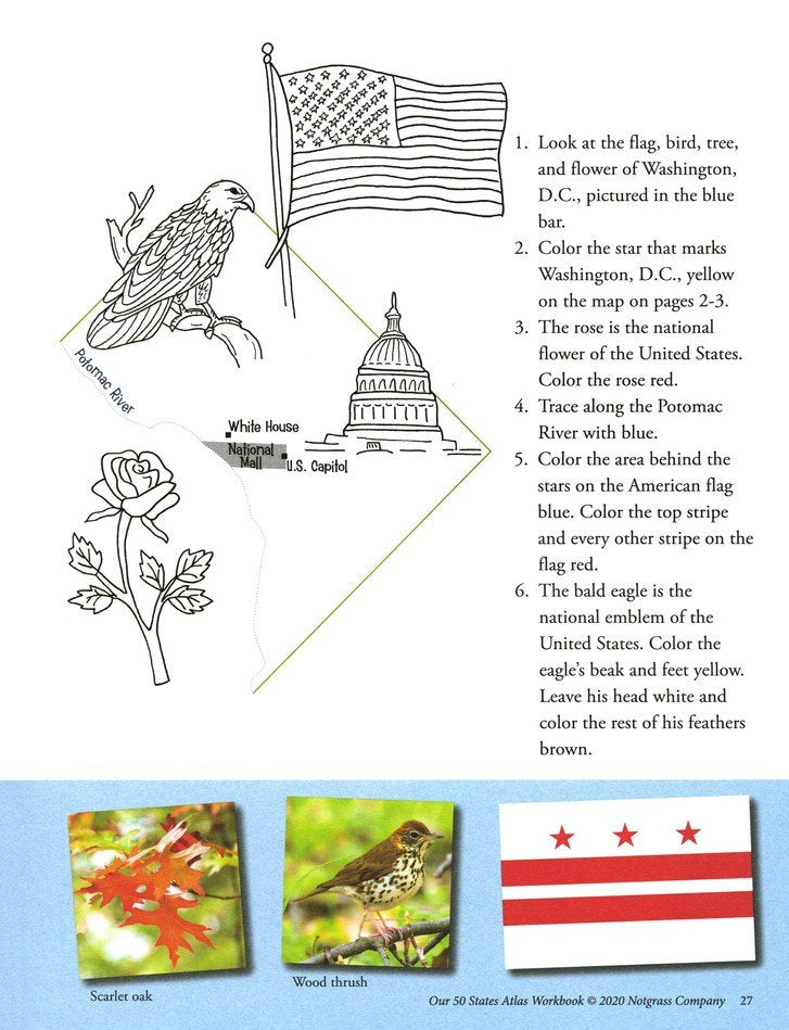 Our 50 States Atlas Workbook | R.O.C.K. Solid Home School Books